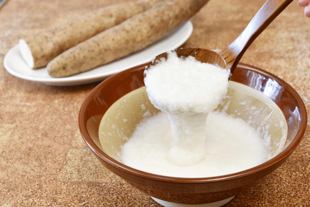 jinenjo japanese yam | Lab.INブログ